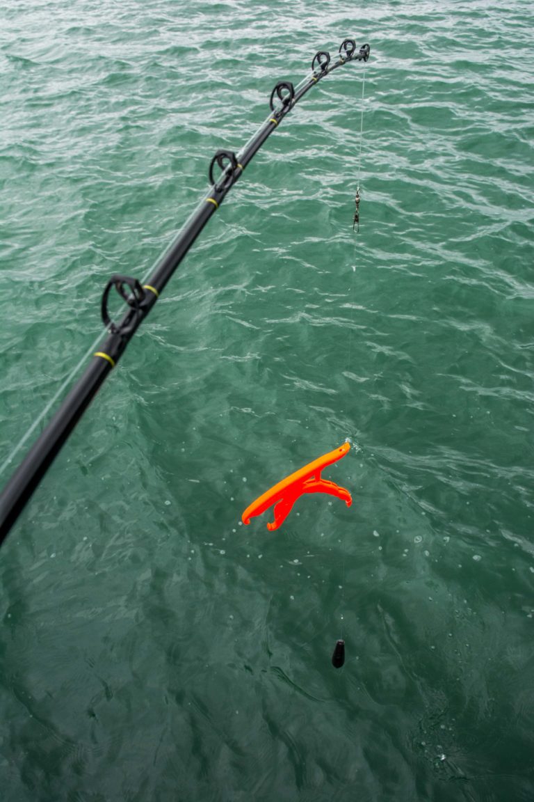 Beating barotrauma with the descender rig - Fish Care